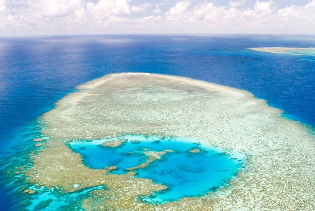 CORAL ARIEL | Cairns Holiday Specialists