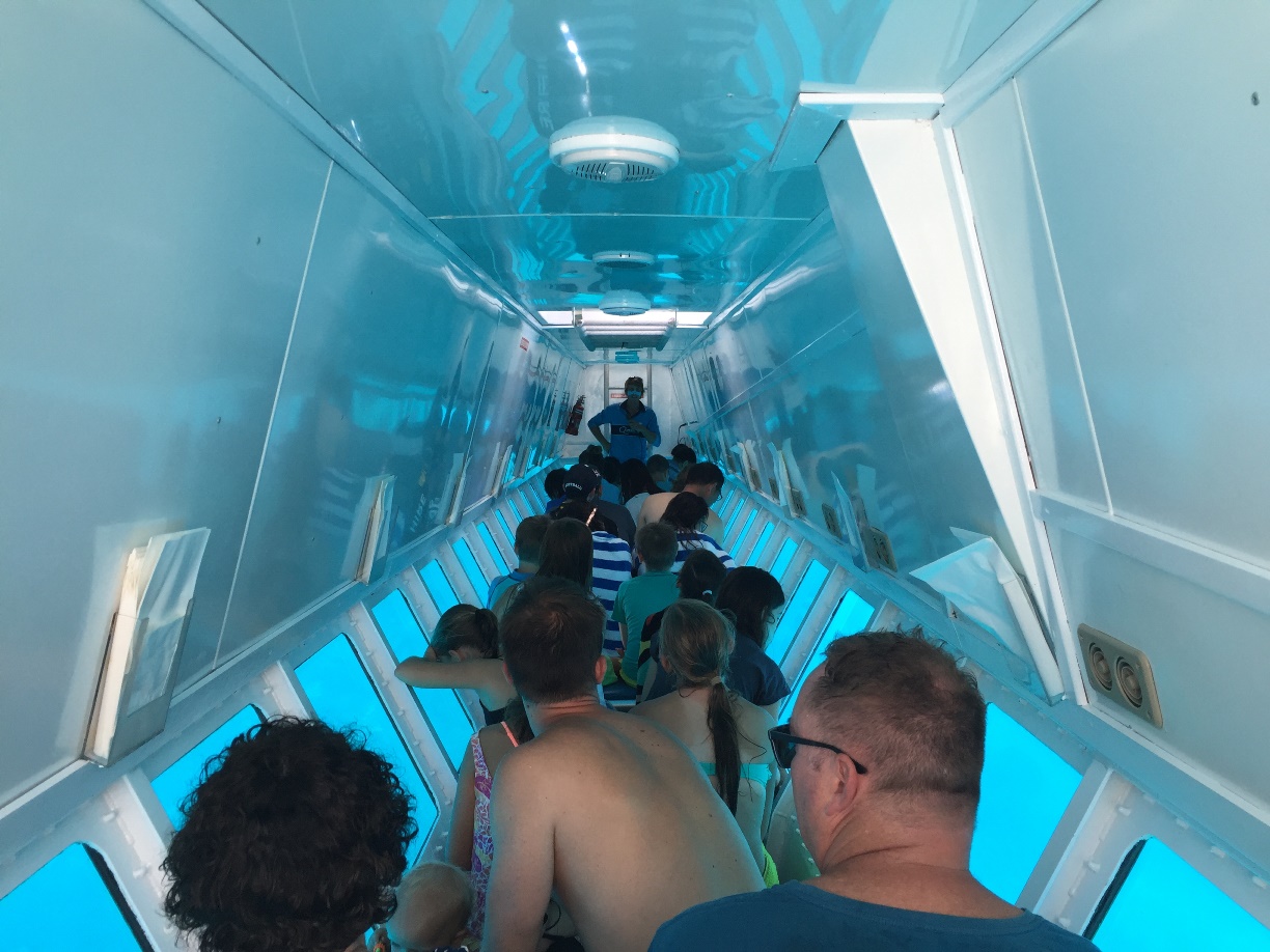 Free Great Barrier Reef Tour | Cairns Holiday Specialists