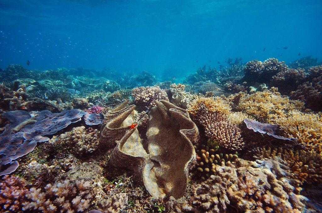 Great Barrier Reef - Maps