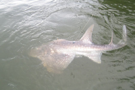 Trinity Inlet - Alchetron, The Free Social Encyclopedia