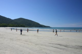 Cairns Attractions | Daintree Rainforest Tours