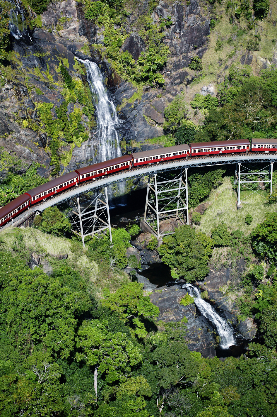 Cheapest Kuranda, Skyrail & Kuranda Train Tour | Full Day OR Half Day ...