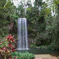 Home | Region Guide | Atherton Tablelands