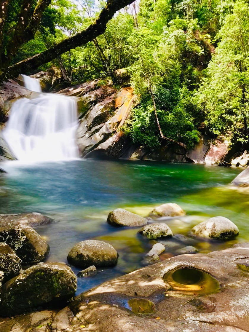 Cairns Rainforest Tours | Wetlands |Waterfalls | River Cruise