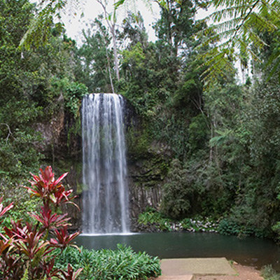Cairns Tablelands Tropical North Queensland